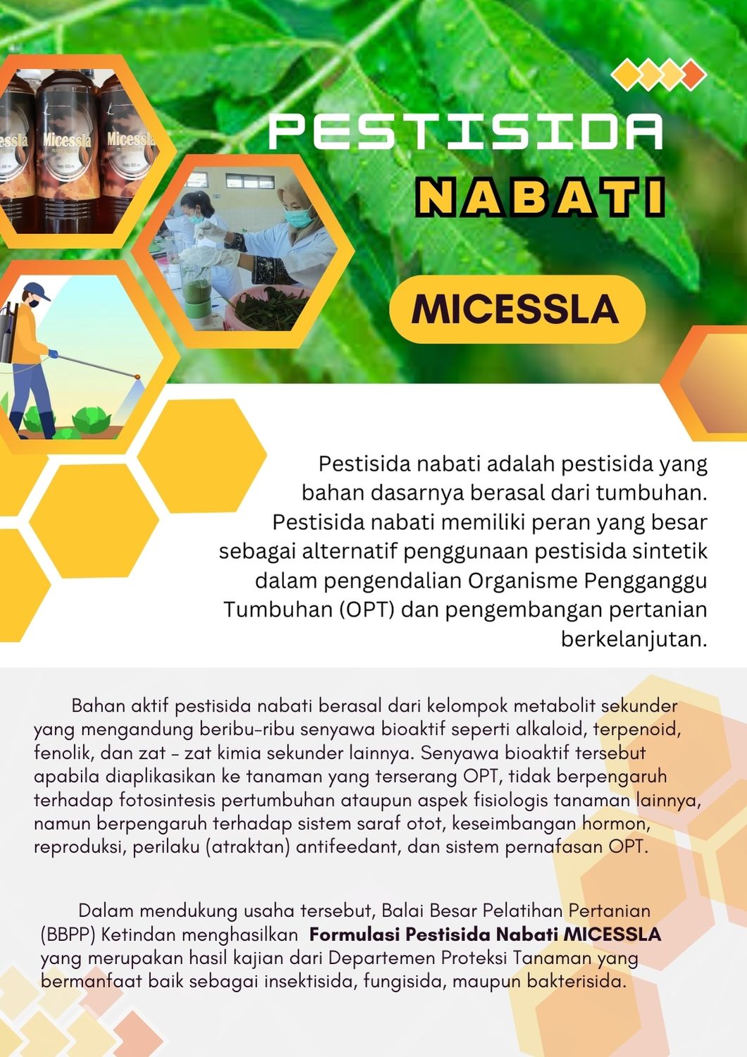 Pestisida Nabati - BBPP Ketindan